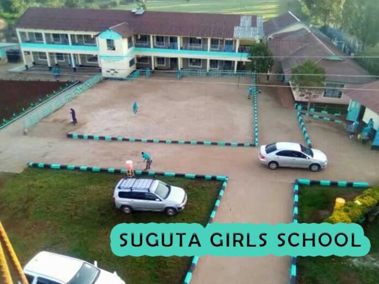 Mangu High School KCSE Results 2024, KNEC History, Fees, and Contacts ...